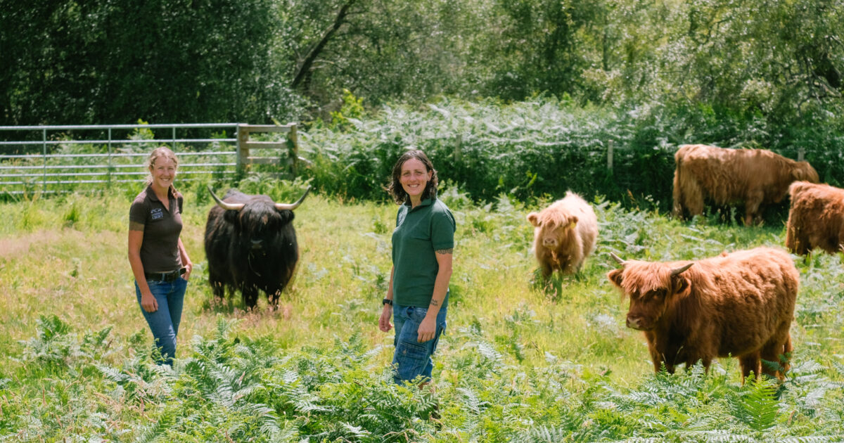 All work and no play left Lynn and Sandra rethinking their crofting ...