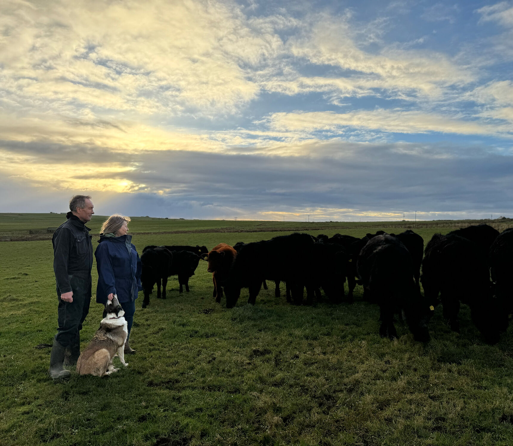Stories - Farmstrong Scotland