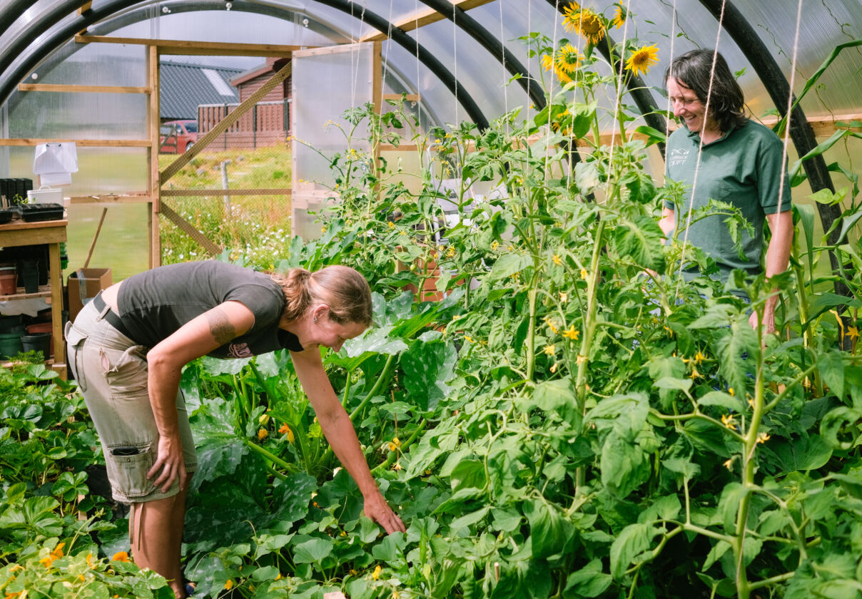Farmstrong Scotland - Live Well, Farm & Croft Well